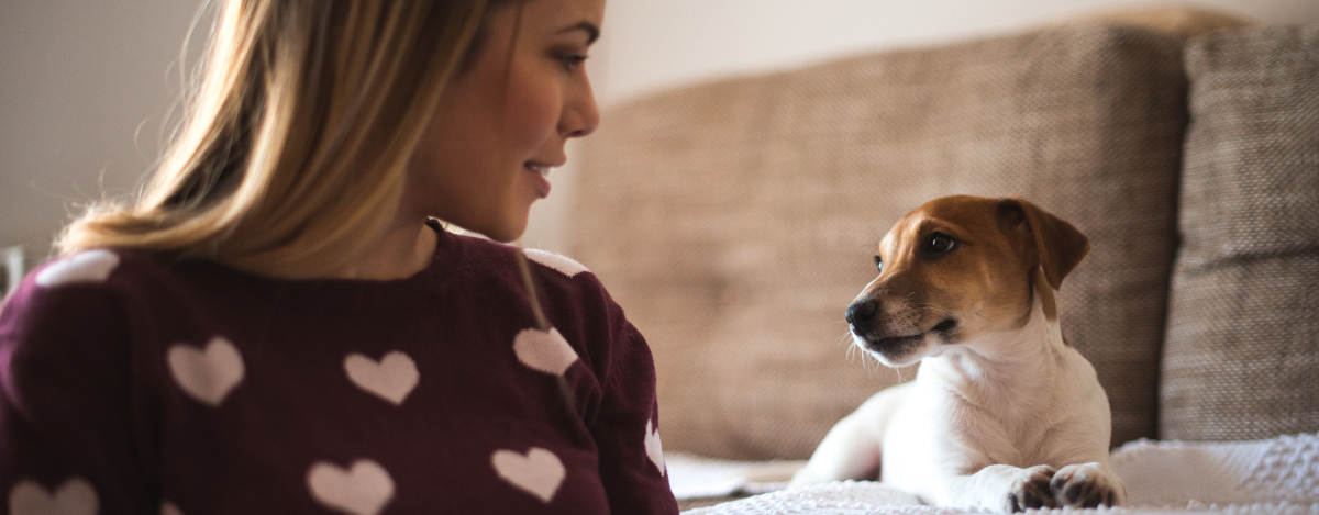 13 Signs Your Dog Loves You | Link