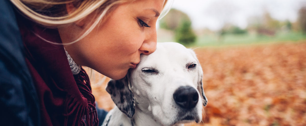 Pet Insurance Protects Your Pup & Pocketbook