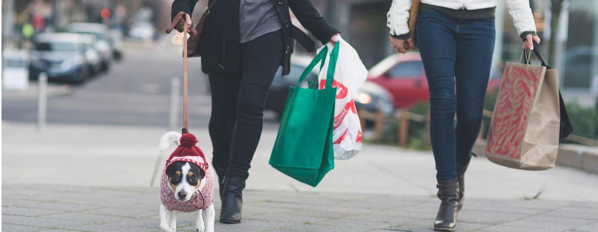 Best Stores for Shopping with your Dog