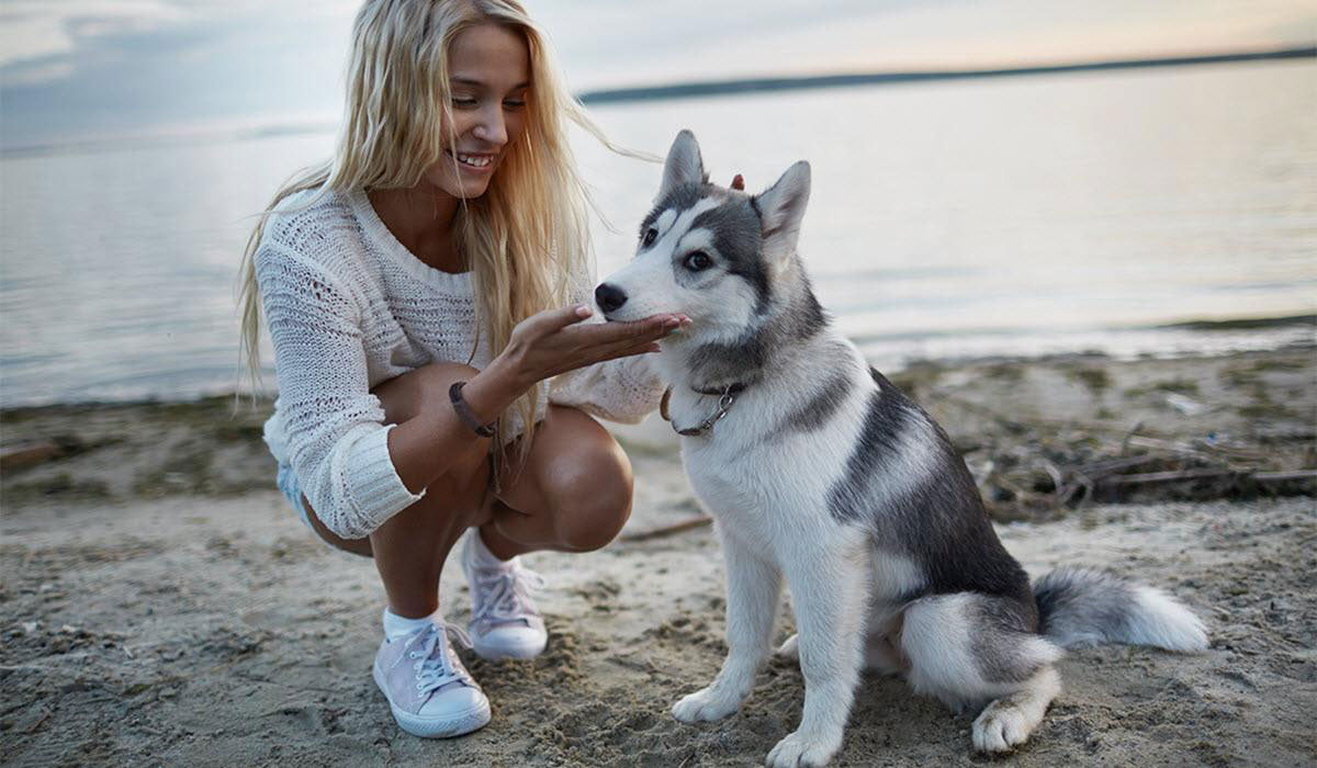 Weekend Plans That Include Your Pup