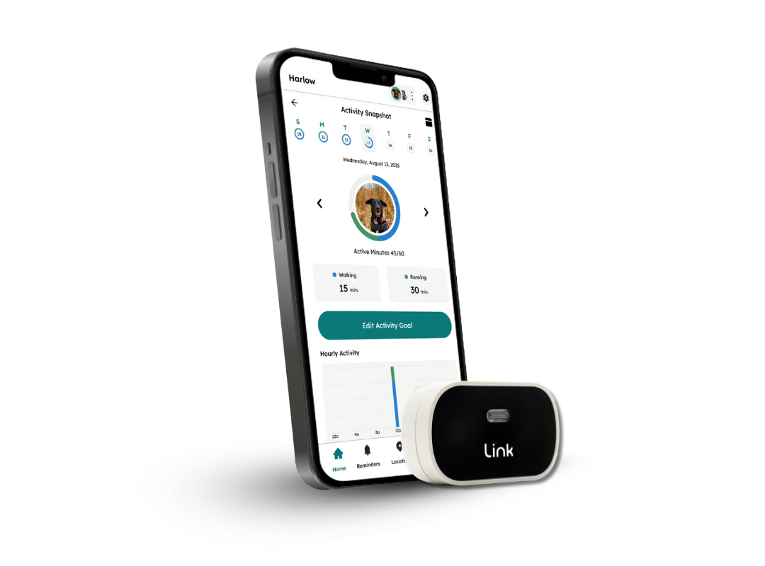 GPS Tracking Dog Collar | Link My Pet