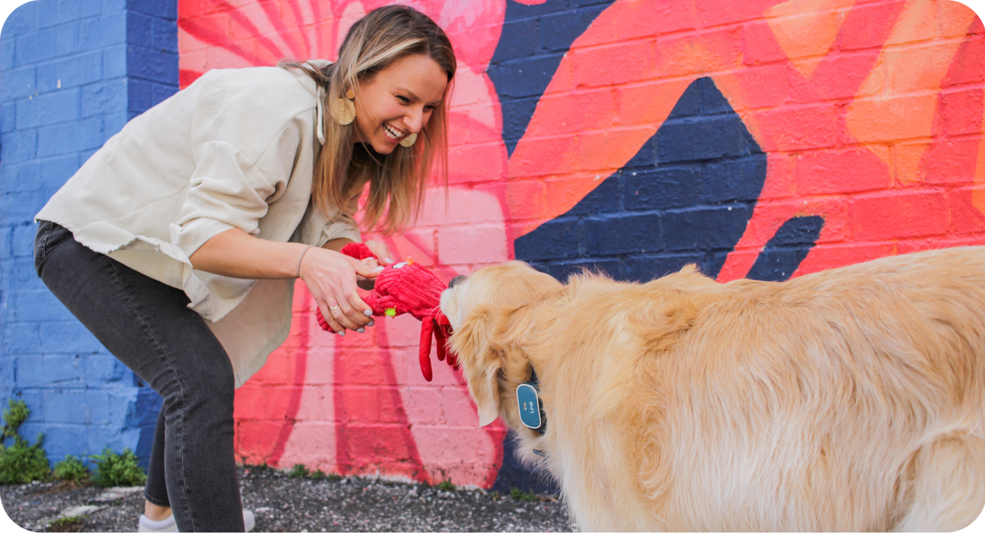 GPS Tracking Dog Collar | Link My Pet