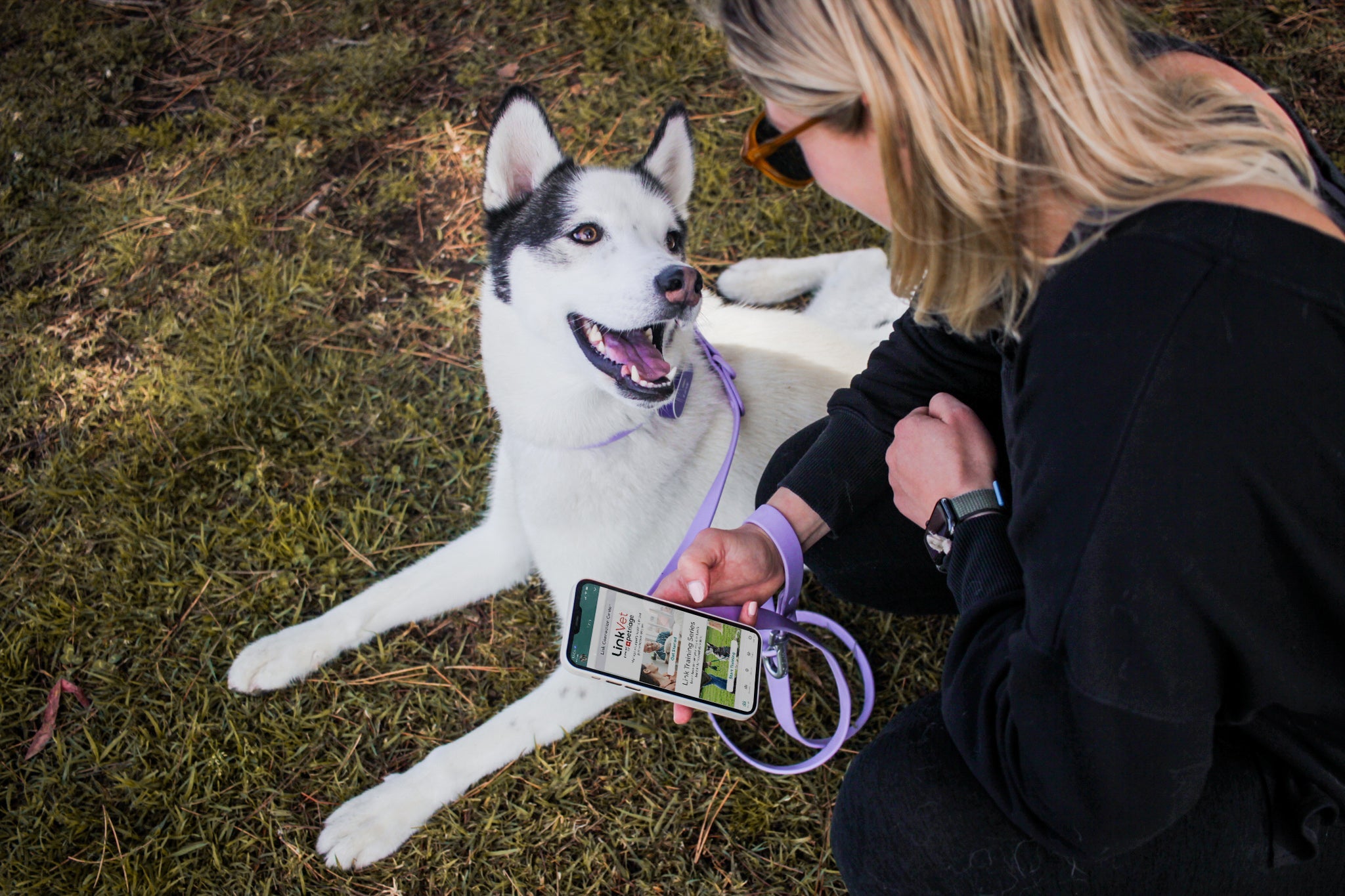 Pet App for Our smart GPS Collar | Link