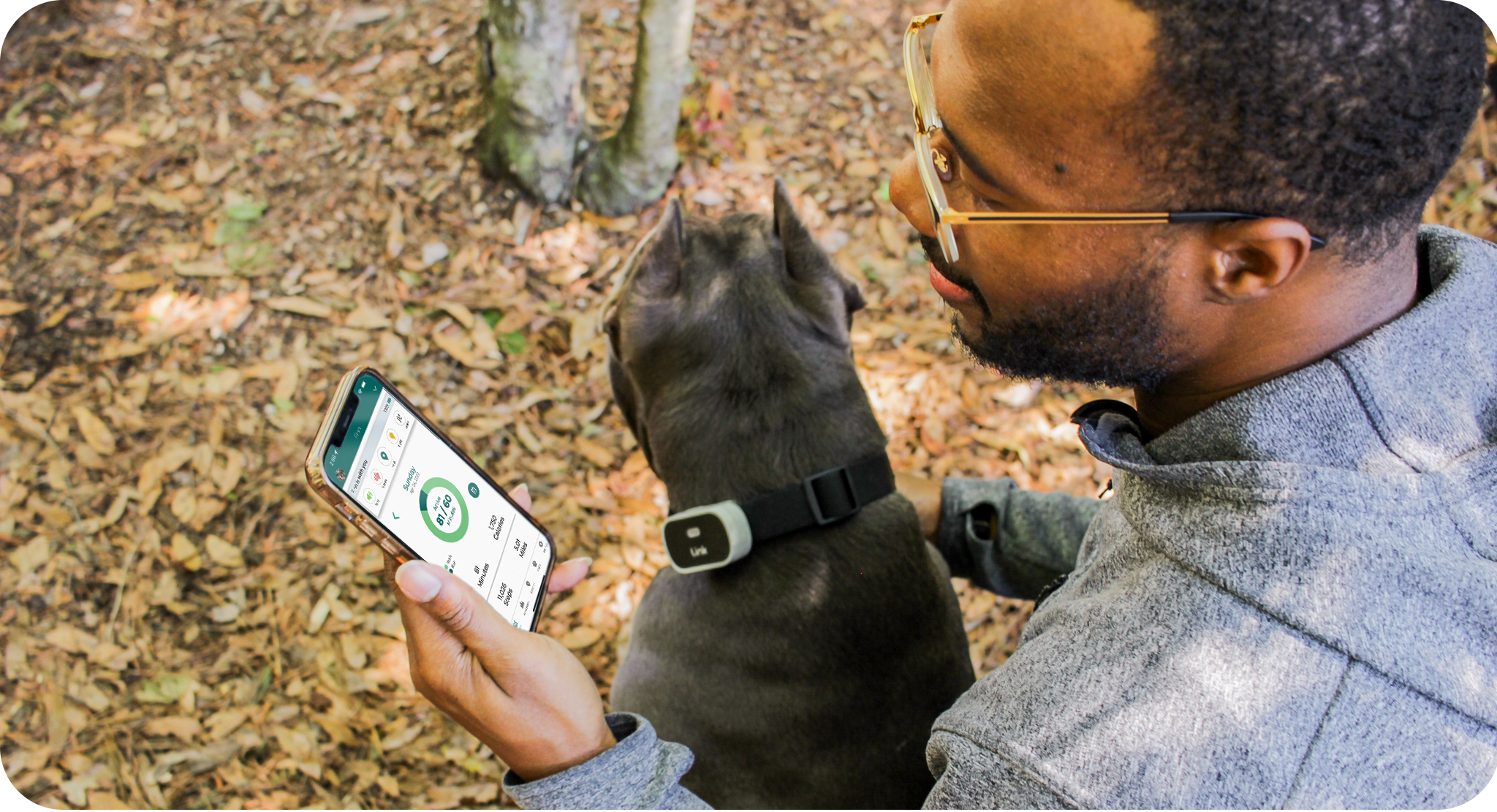 GPS Tracking Dog Collar | Link My Pet