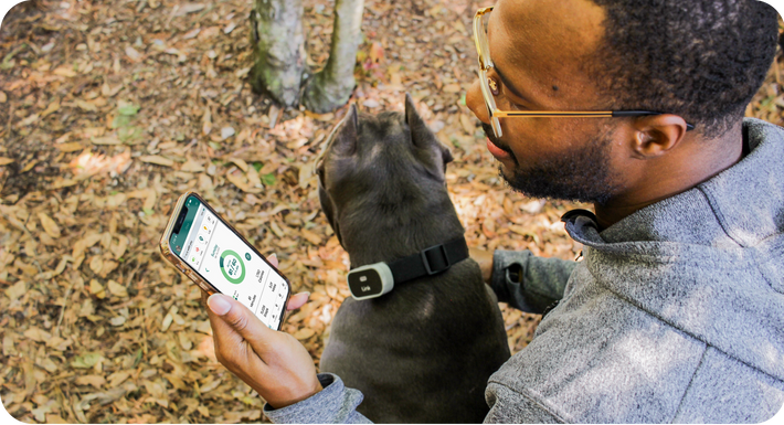 GPS Tracking Dog Collar | Link My Pet