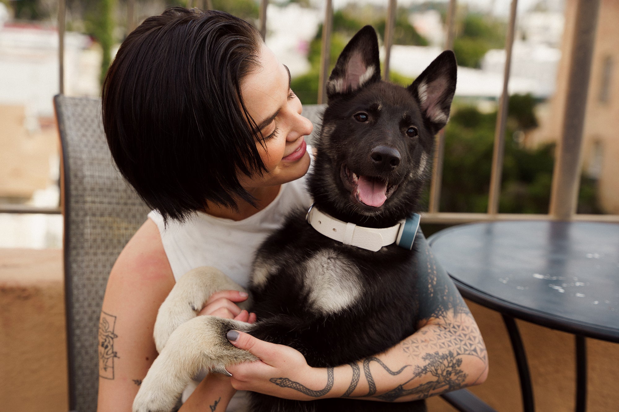 GPS Tracking Dog Collar | Link My Pet