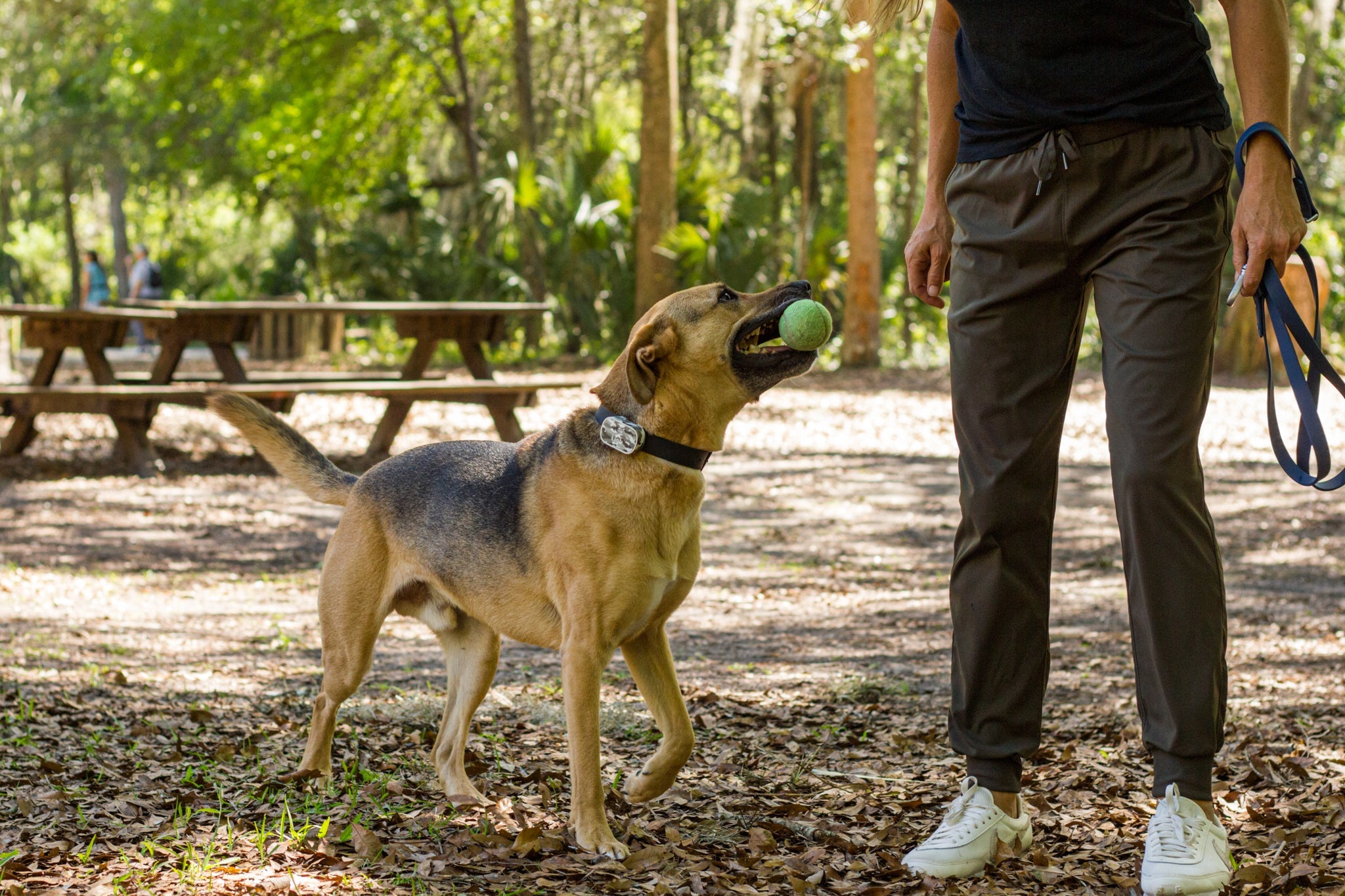 How Our Pet GPS Tracker Works | Link
