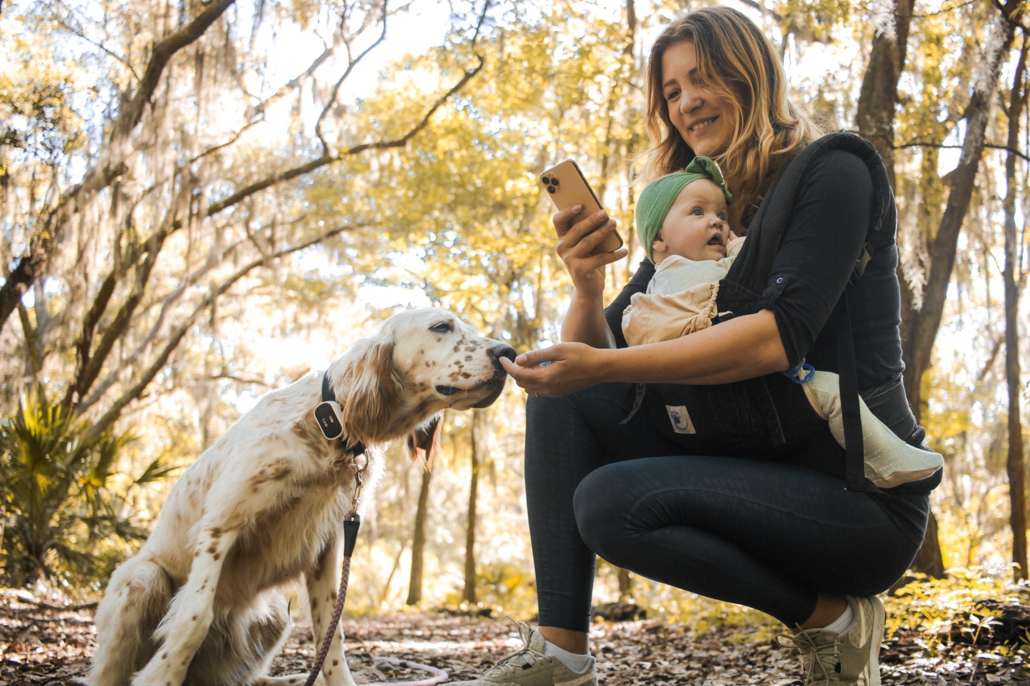 How Our Pet GPS Tracker Works | Link