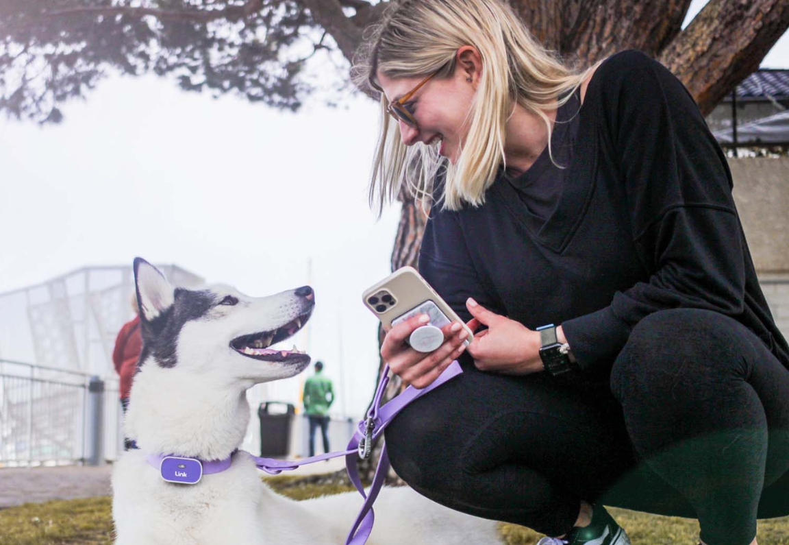 GPS Tracking Dog Collar | Link My Pet