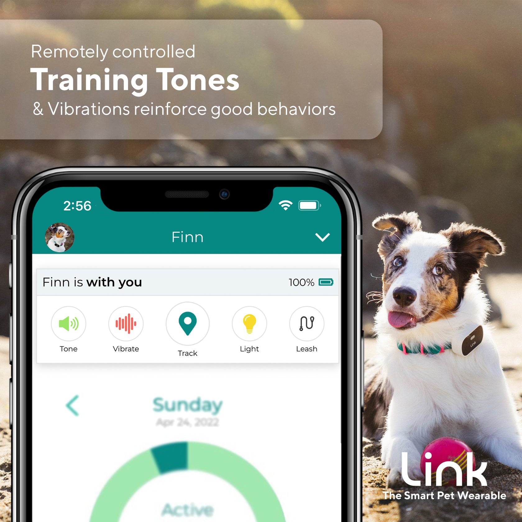 Smart Pet Wearable | Link